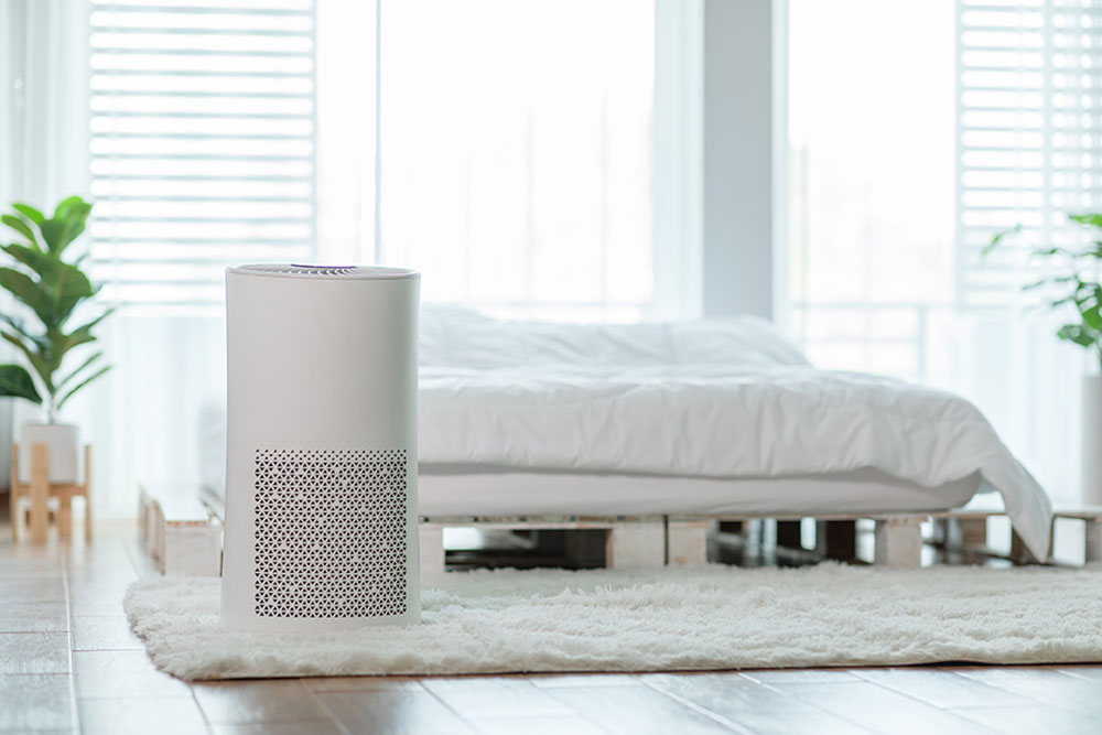 Future of Portable Air Purifiers: Trends & Innovations